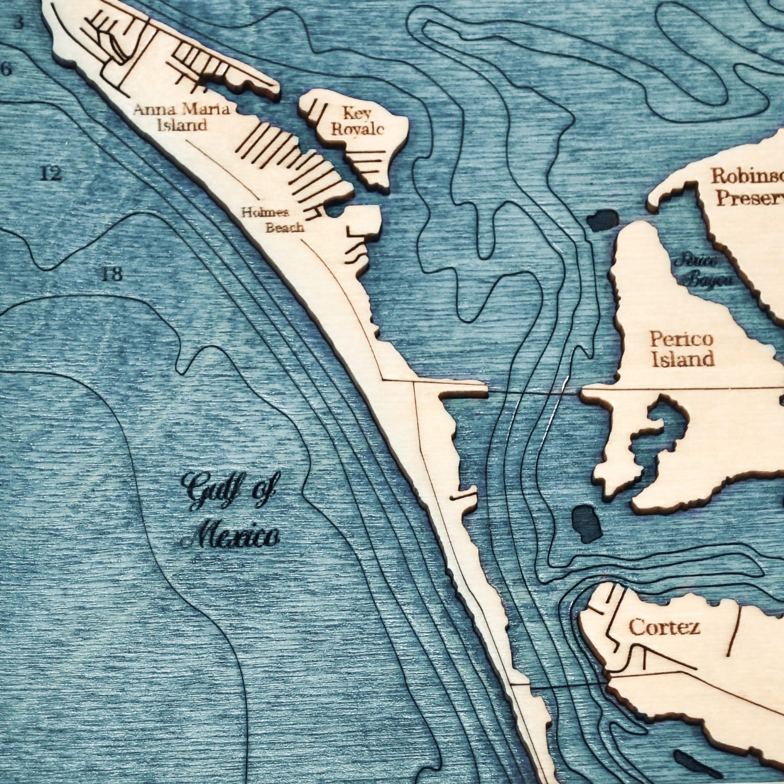 Manatee River Wall Art - Two-Level 3D Wood Map - Sea and Soul Charts